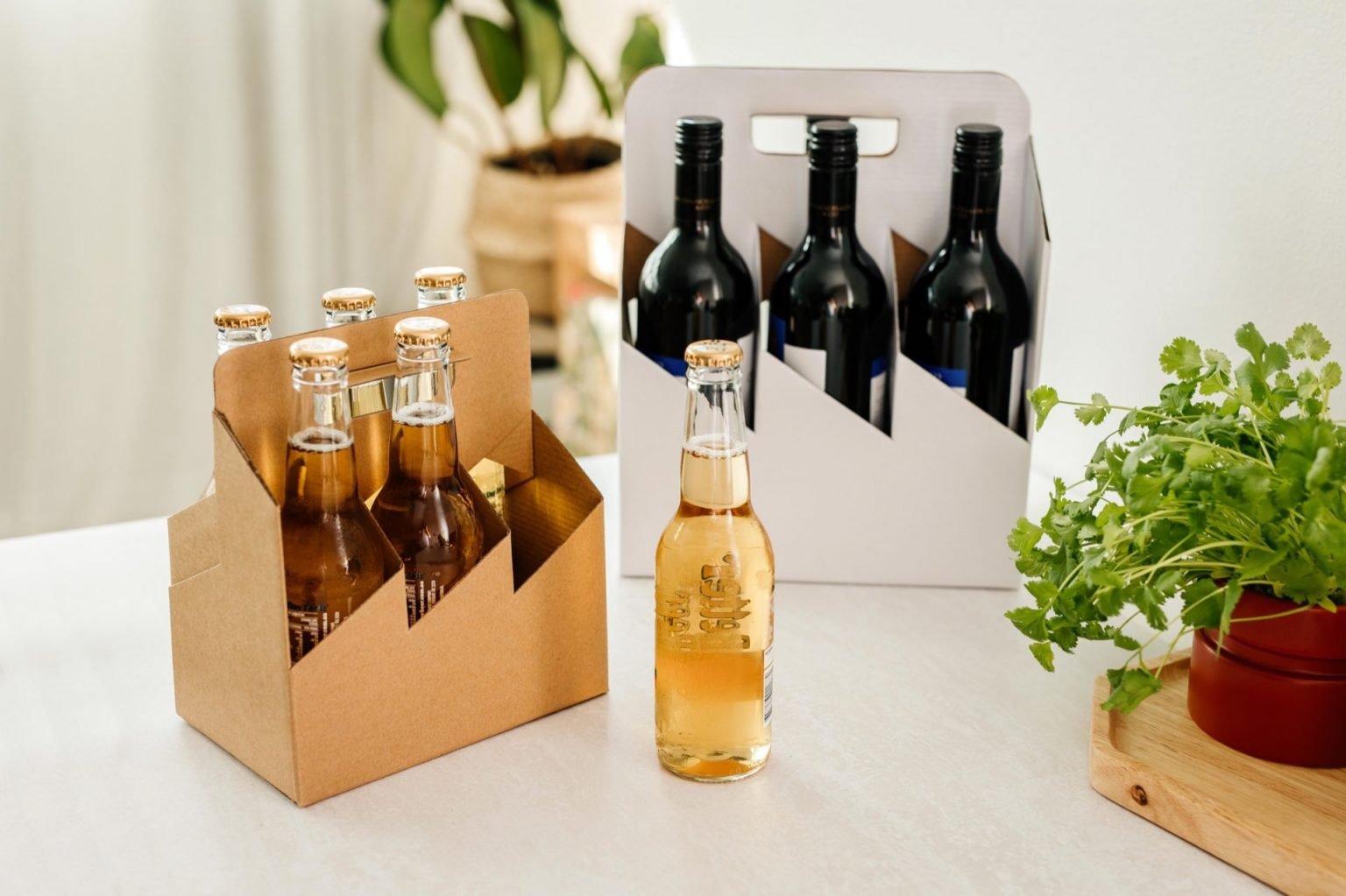 Beer Carry Boxes - PNI